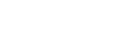 Hacking Big Numbers - Veridion