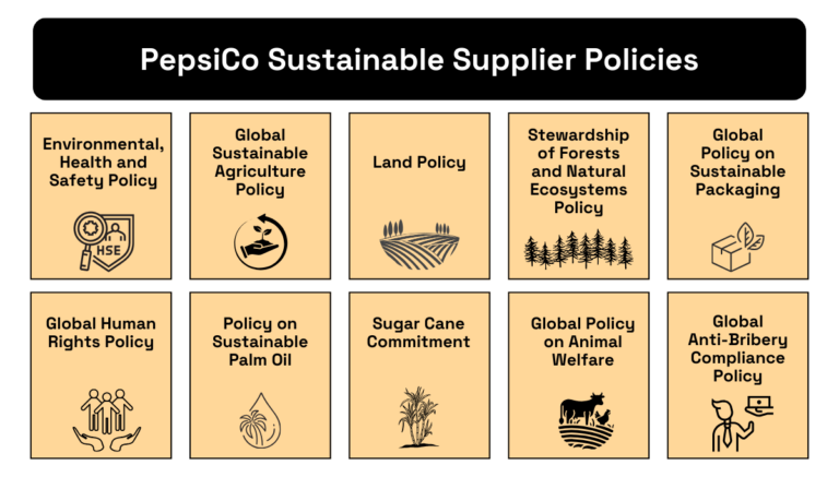 7 Examples of Successful Supplier Sourcing Strategies