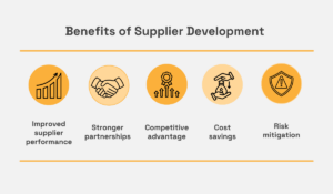 Supplier Development: Everything You Need to Know