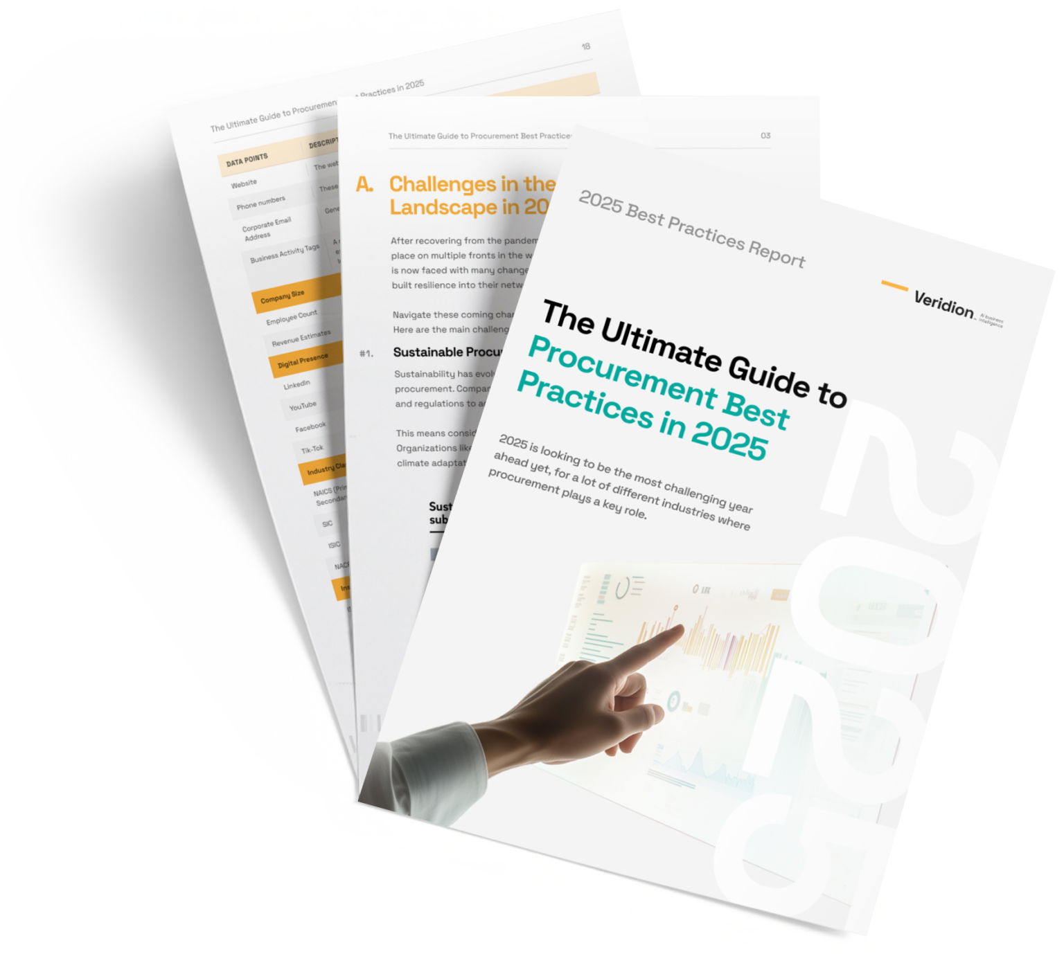 2025 Best Practices for Procurement - Veridion